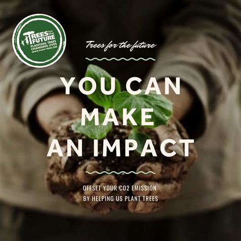 Offset Your CO2 Emissions Plant A Tree With Trees For The Future Flextrash