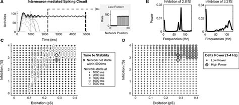 Oscillations In Interneuron Mediated Circuit A A Network Oscillation