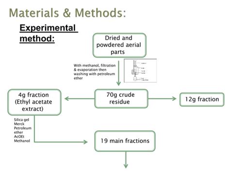 Extraction And Determination Of Chemical Structure Of Flavonoids Ppt