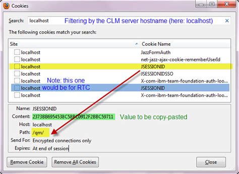 How To Get JSESSIONID Value From Firefox Browser Jazz Forum