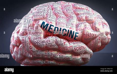 Medicine In Human Brain Hundreds Of Crucial Terms Related To Medicine Projected Onto A Cortex