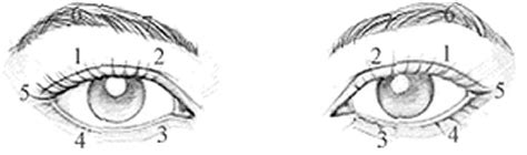 The Influence Of Benign Essential Blepharospasm On Dry Eye Disease And