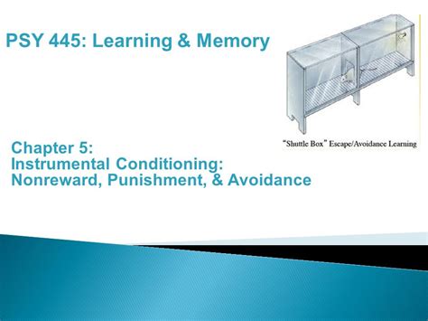 PSY 445: Learning & Memory Chapter 5: Instrumental Conditioning: - ppt video online download