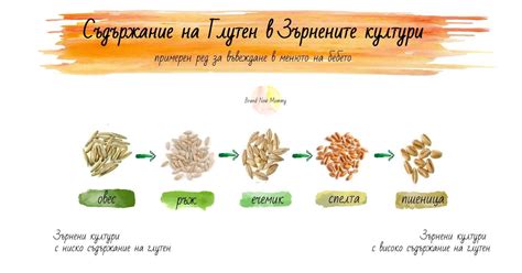 Захранване с глутен Хранене с млека за кърмачета захранване Мнения от Bg Mamma