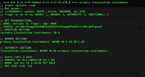 Guide To Install DNS On CentOS RHEL LinuxTechLab