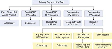Pap Smear And Hpv Results Guide To Colposcopy And Rescreening Best