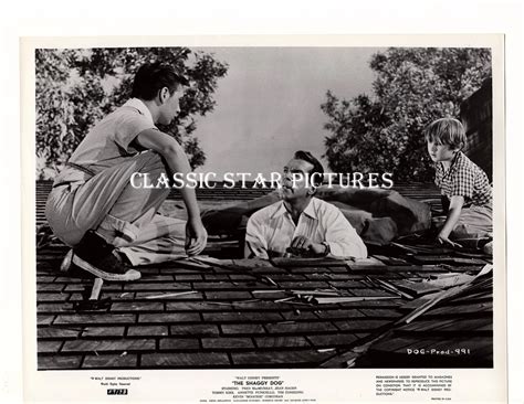 Kevin Corcoran Moochie