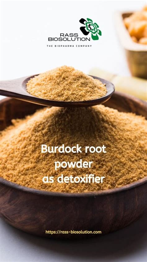 Burdock Root Powder As Detoxifier