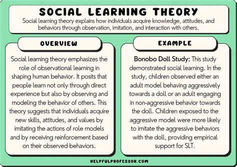 15 Social Learning Theory Examples 2024