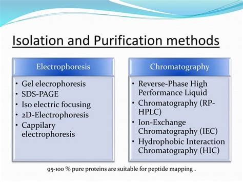 Peptide Mapping Pptx Chemistry Science