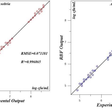 Correlation Between Neural Network Model Predictions And Experimental