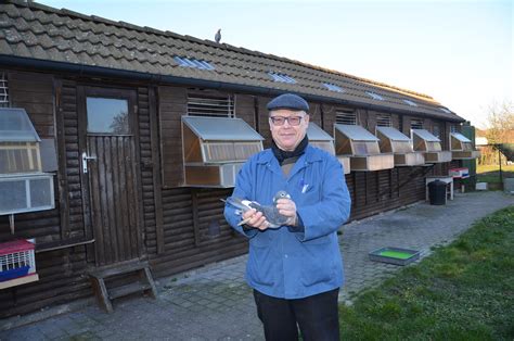 Duivenliefhebber Marc De Vadder Behaalde Afgelopen Jaar Record Van 87 Eerste Prijzen Slechts