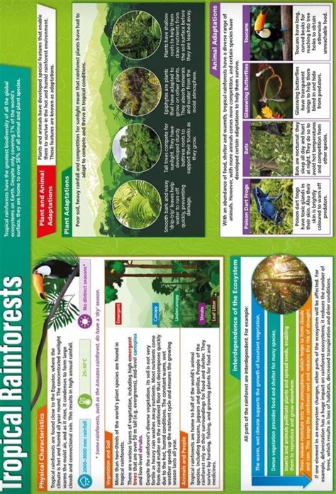 Global Ecosystems Poster Artofit