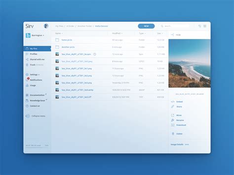 Best Desktop Application Ui Design At Betty Kennedy Blog