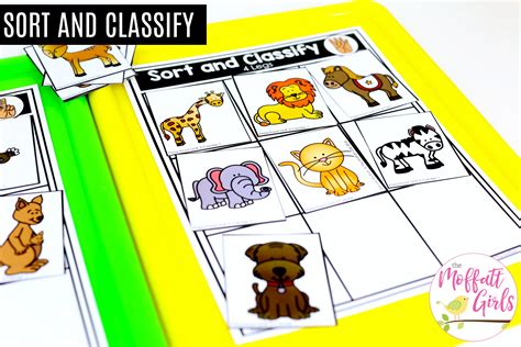 1 Sort And Classify 1 Sort And Classify