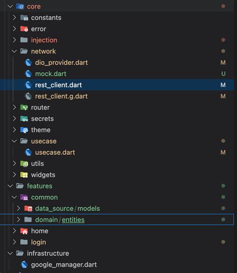 Flutter Flutter Clean Architect Help For Network And Third Sdk