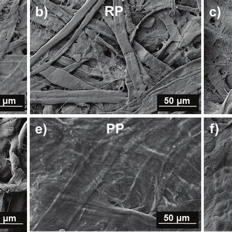 Sem Micrographs Of The Six Paper Samples A Commercial Office Paper