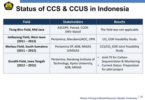 Ccs Ccus Program And Activities In Indonesia Pdf