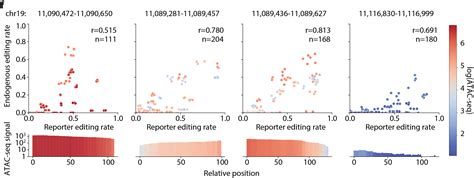 BEAN Model Description Bean Documentation