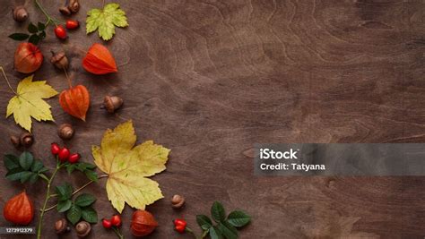 노란색 단풍 빨간 장미 엉덩이 오렌지 페잘리스와 오래된 갈색 나무 배경에 도토리 상단 보기 평평한 평지 복사 공간 가을 분위기