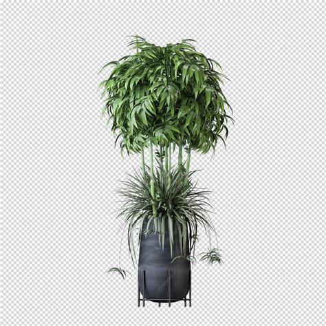 Premium Psd 3d Rendering Nature Object Tree Isolated