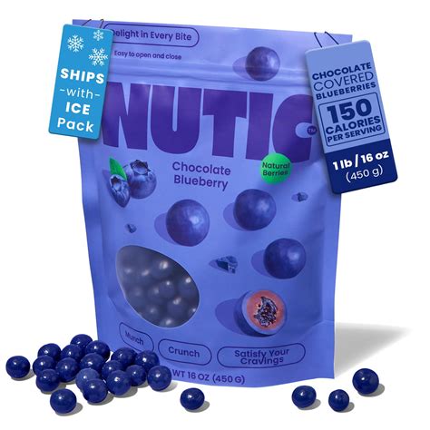 Nutic Milk Chocolate Covered Blueberries 1lb Premium Gourmet