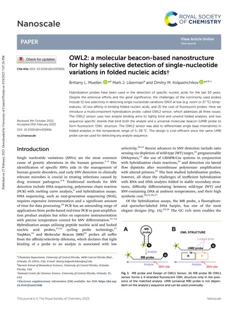 Pdf Owl2 A Molecular Beacon Based Hybridization Sensor For Highly Selective Snv Detection In