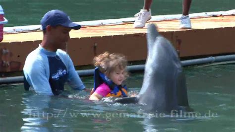 Delfine Delfin Der Delfin Und Das Kleine Maedchen Youtube