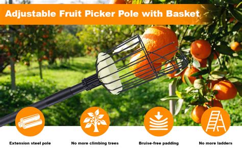 Fruit Picker Pole With Basket 843ft 101 Inch