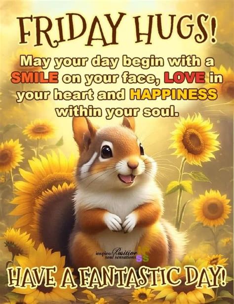 440 Funny Squirrel Pictures Ideas To Save Today Squirrel Pictures Funny Squirrel Pictures