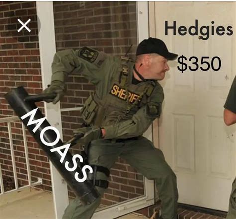 Moass Behinds 350 Door Scrolller