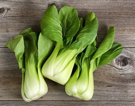 25 Hortalizas Y Verduras Japonesas Que Debes Probar ⛩️