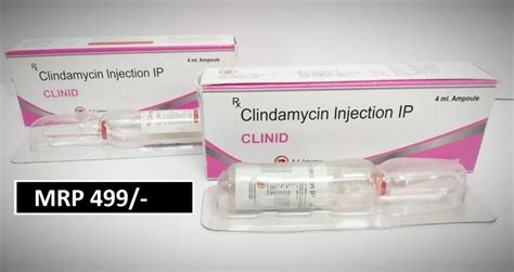 Clindamycin Injection Ip Strength 300 Mg At ₹ 499 Piece In Prayagraj Id 2853980163688