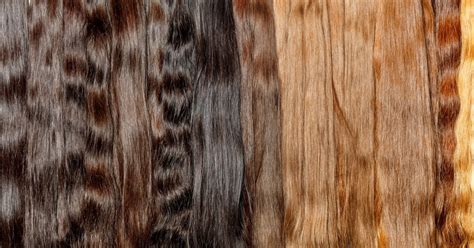 Ultimate Guide To Brown Hair Color Shades Shades That Suit You Best