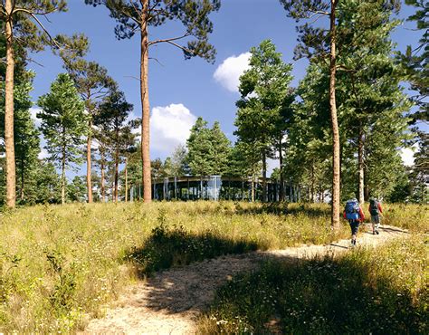 Python Programming Behance