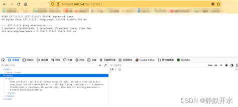 云演ctf Web题型 Pingweb 网页ctfping吗 Csdn博客