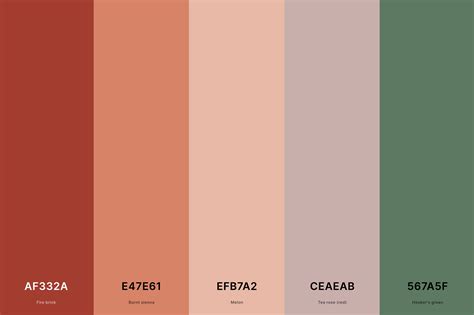 20 Best Terracotta Color Palettes With Names And Hex Codes 2024