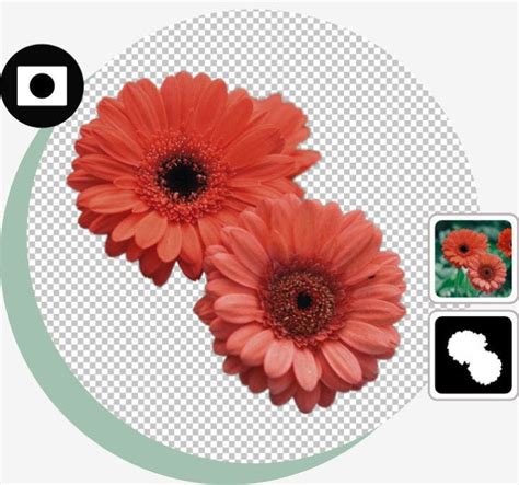 Adding Picture As Layer Photoshop Adobe