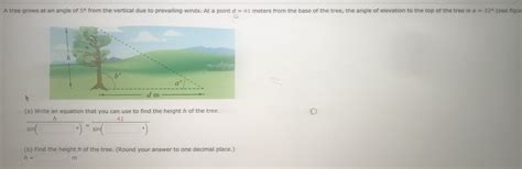 Answered A Tree Grows At An Angle Of 5 From The Vertical Due To Prevailing Winds At A Point D