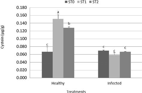 Effect Of Trichoderma Spp On Total Cysteine Content In Leaf Taro Plant