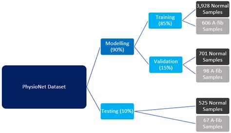 Automated Atrial Fibrillation Detection With Ecg