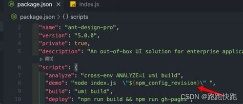 npm 命令传递参数 npm run 参数 csdn博客