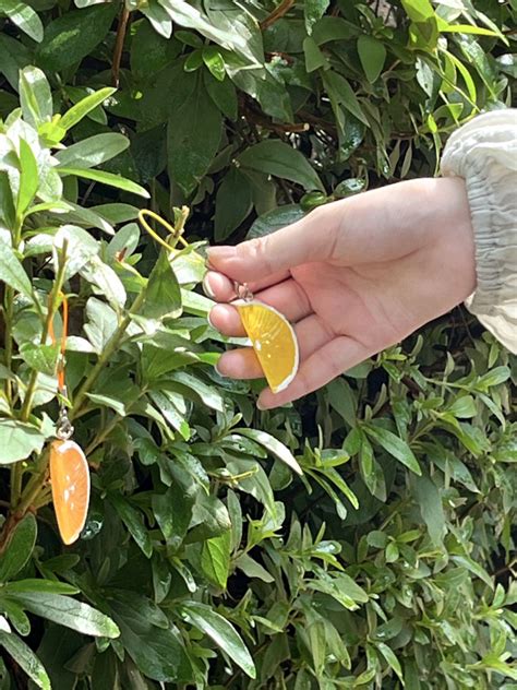 마을엔 과일 키링 레몬 오렌지 라임 시트러스 열매 키링3color마을엔 위시버킷