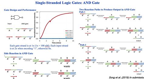 Fast And Compact DNA Logic Circuits NextBigFuture Com