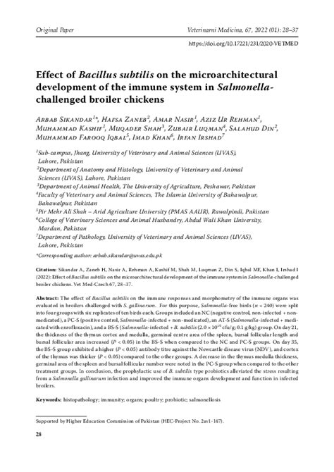 Pdf Effect Of Bacillus Subtilis On The Microarchitectural Development Of The Immune System In