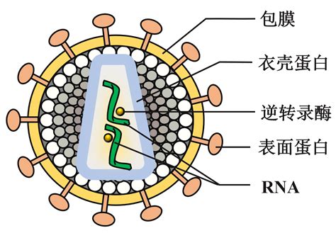 百度教育