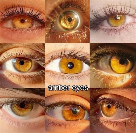 Amber Eyes Rare Eye Color Meaning And Contact Lens Match Billionaire