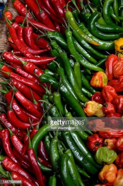 Tom Pepper Photos And Premium High Res Pictures Getty Images