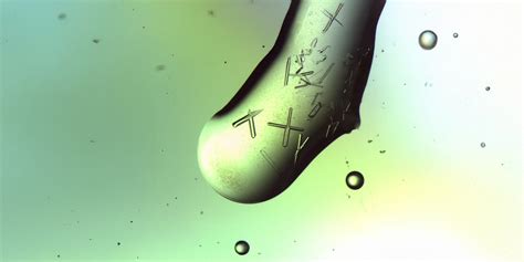 Growing Large Protein Crystals A New Method For Neutron Diffraction