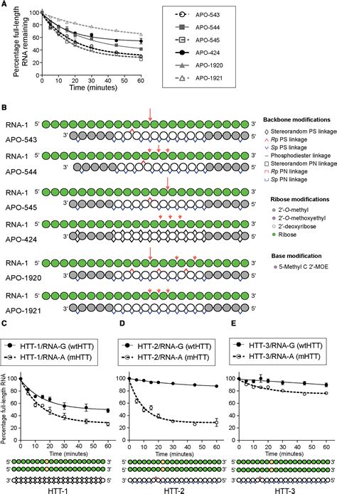 preclinical evaluation of stereopure antisense oligonucleotides for